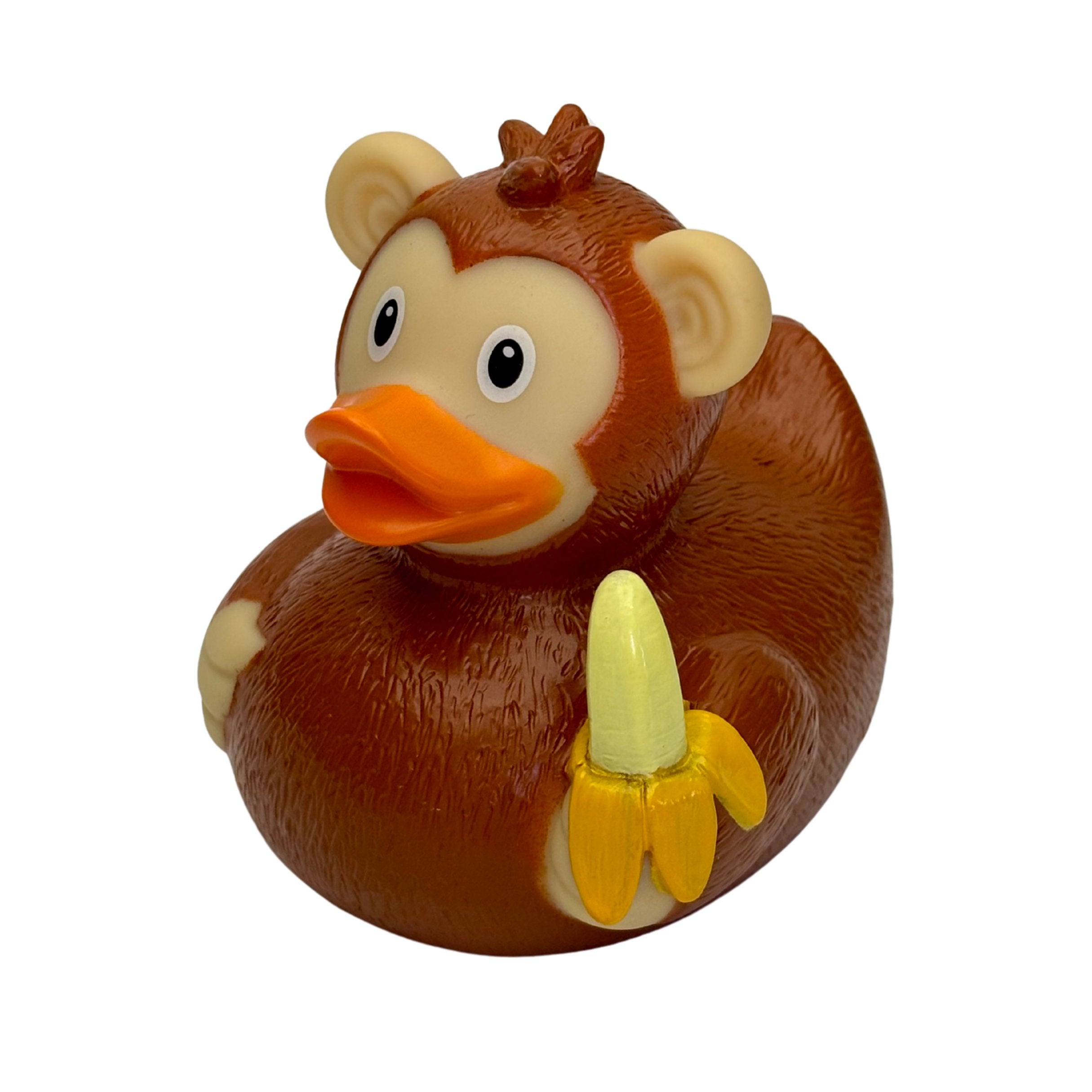 Animals – Kwak SF